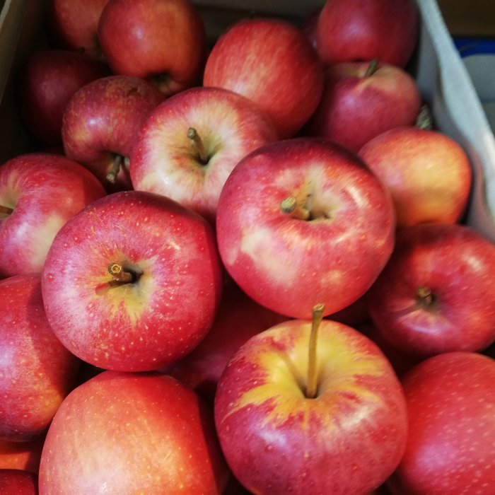 Pomme Royal Gala - Saveurs de nos Terroirs